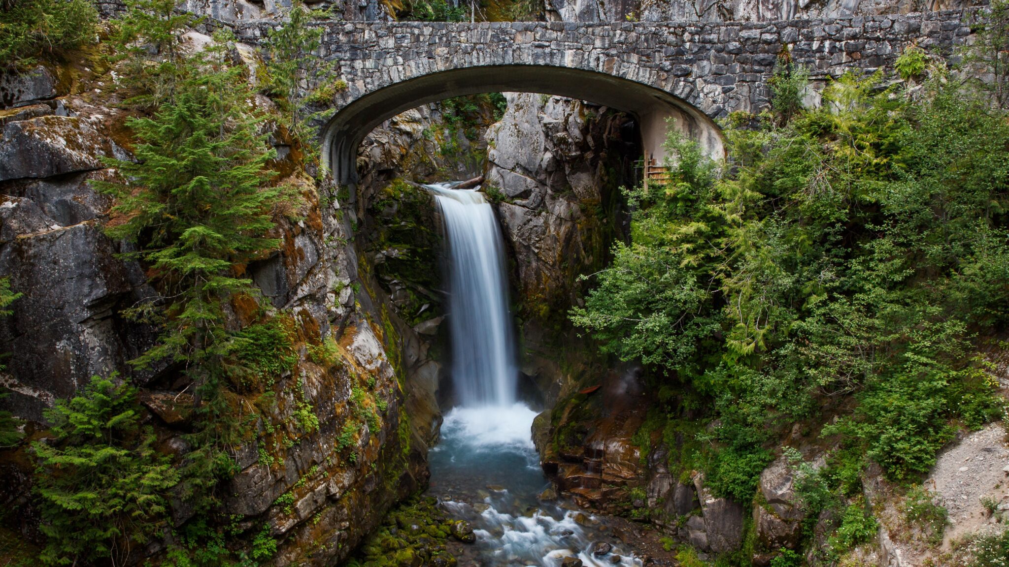 10 Best Places to Elope at Mount Rainier National Park ...